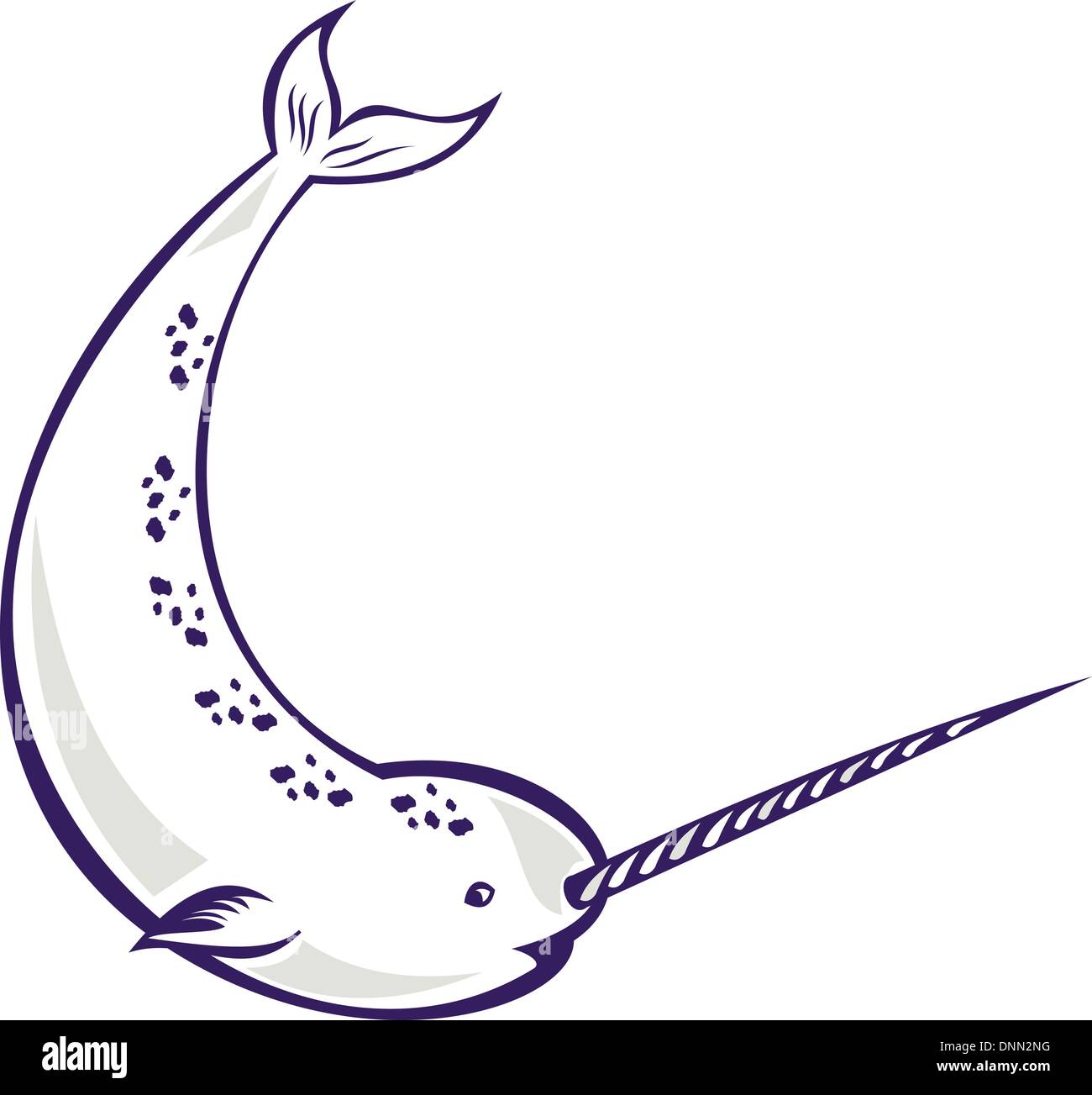 illustration of narwhal Monodon monoceros unicorn whale witjh straight ...