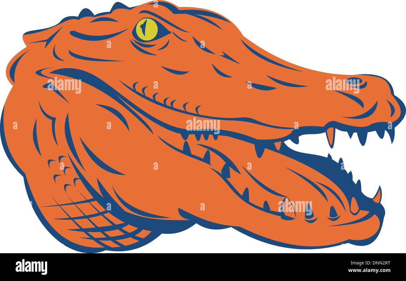 Alligator Stock Vector Images - Alamy