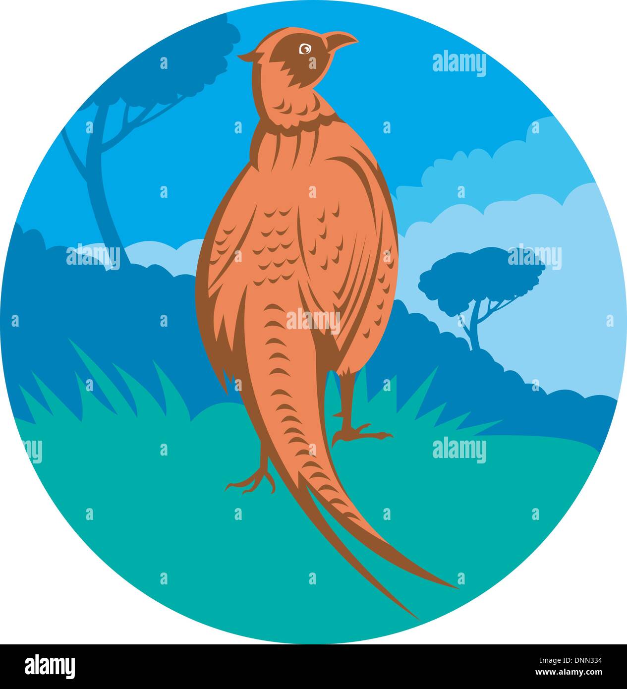 illustration of a Pheasant bird walking with tree in background set ...