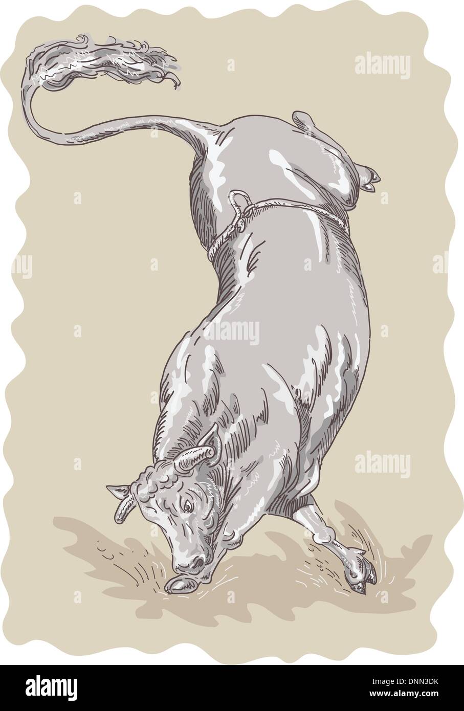 Bull angry charging hi-res stock photography and images - Alamy