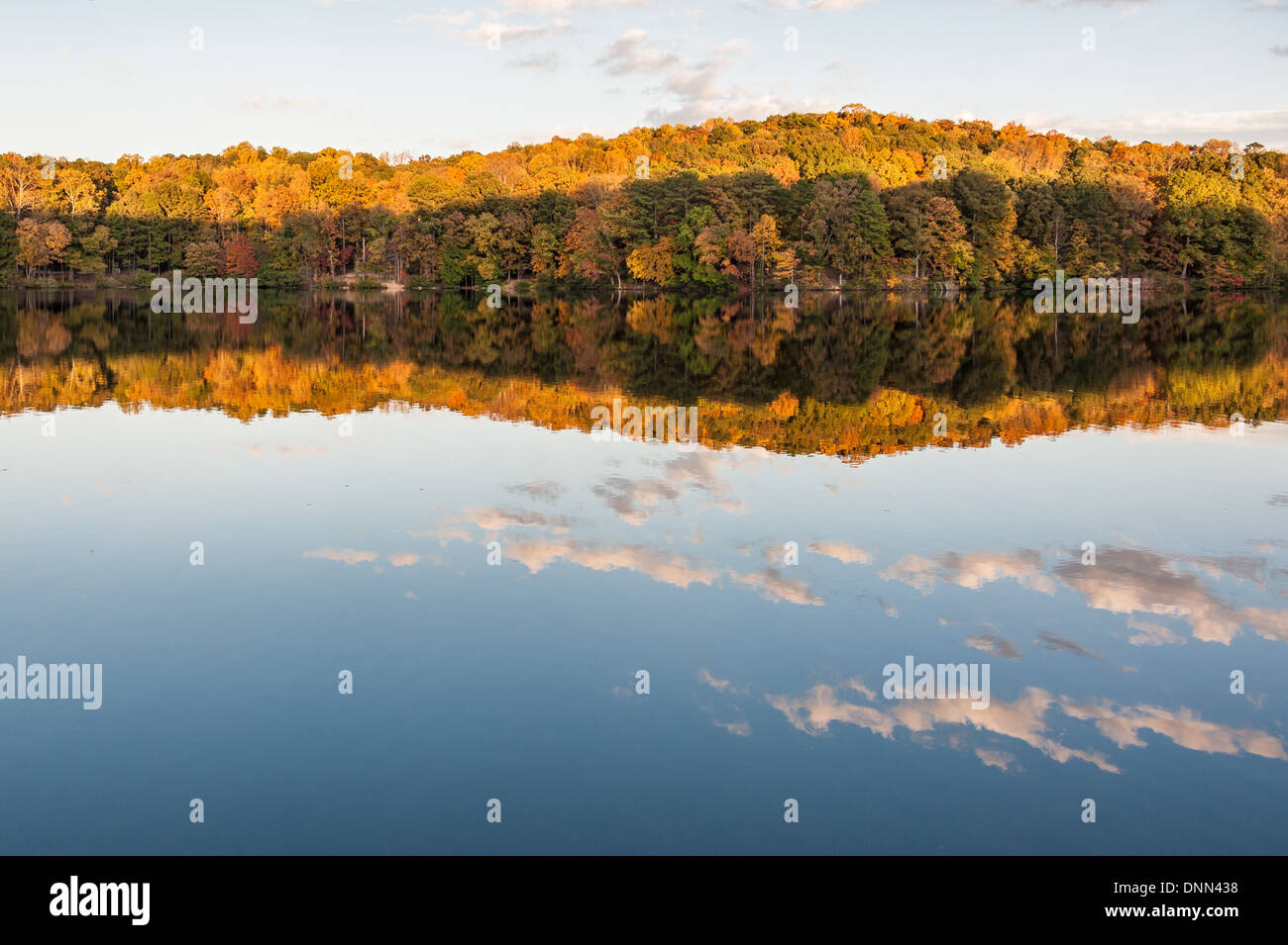 Trees along shoreline reflect hi-res stock photography and images - Alamy