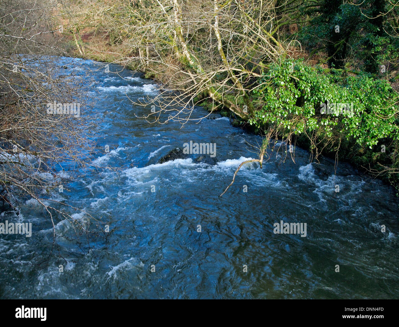 Fast running river hi-res stock photography and images - Alamy