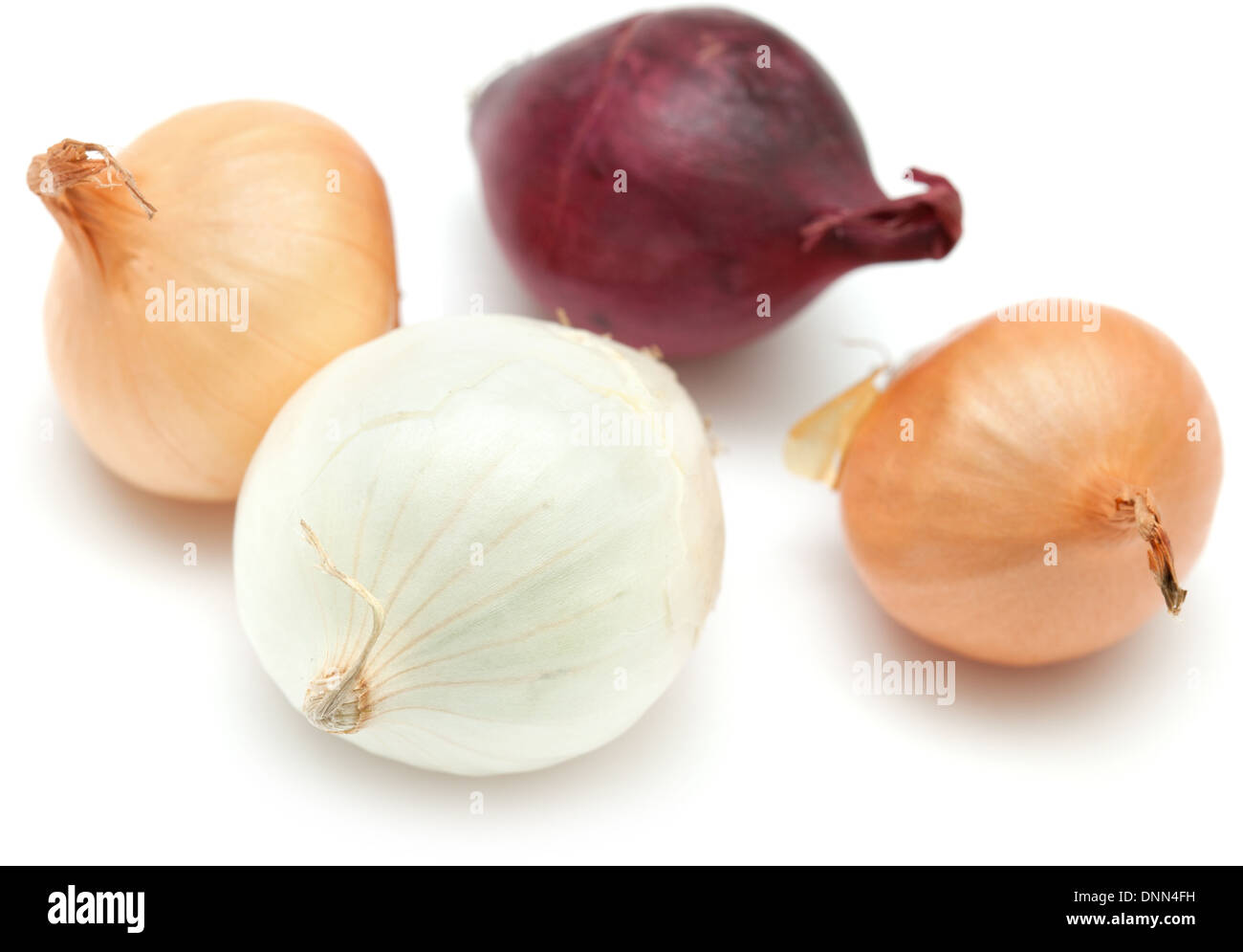 different mini onions isolated on white Stock Photo - Alamy