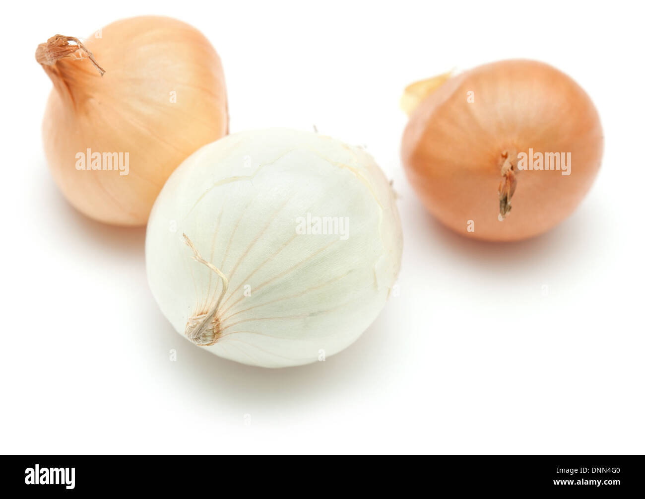 different mini onions isolated on white Stock Photo - Alamy
