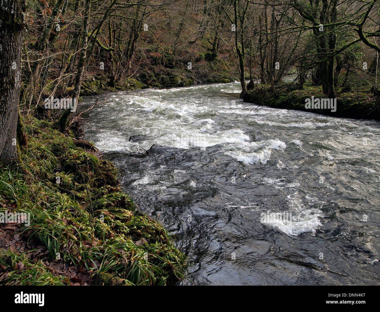 Turbulent Flow Stock Photos & Turbulent Flow Stock Images - Alamy