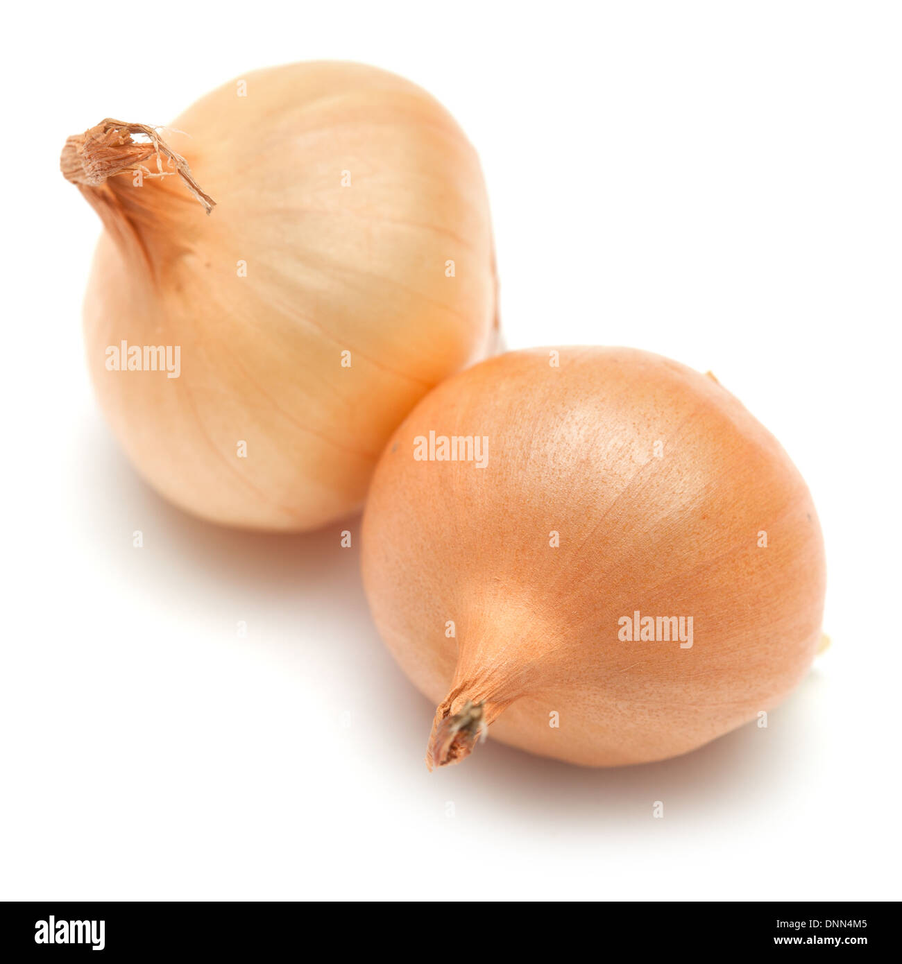 brown mini onions isolated on white Stock Photo - Alamy