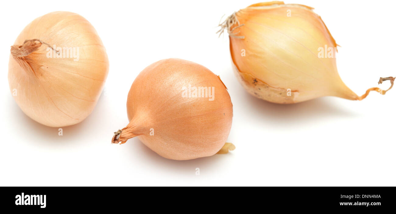 Small fresh brown onions hi-res stock photography and images - Alamy