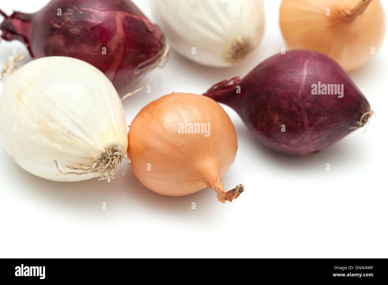 different mini onions isolated on white Stock Photo - Alamy