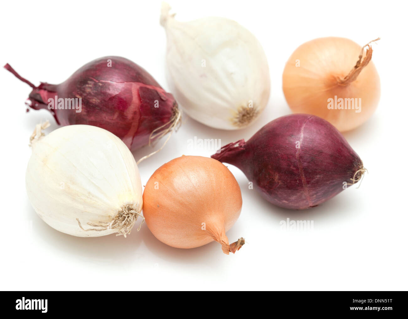 different mini onions isolated on white Stock Photo - Alamy