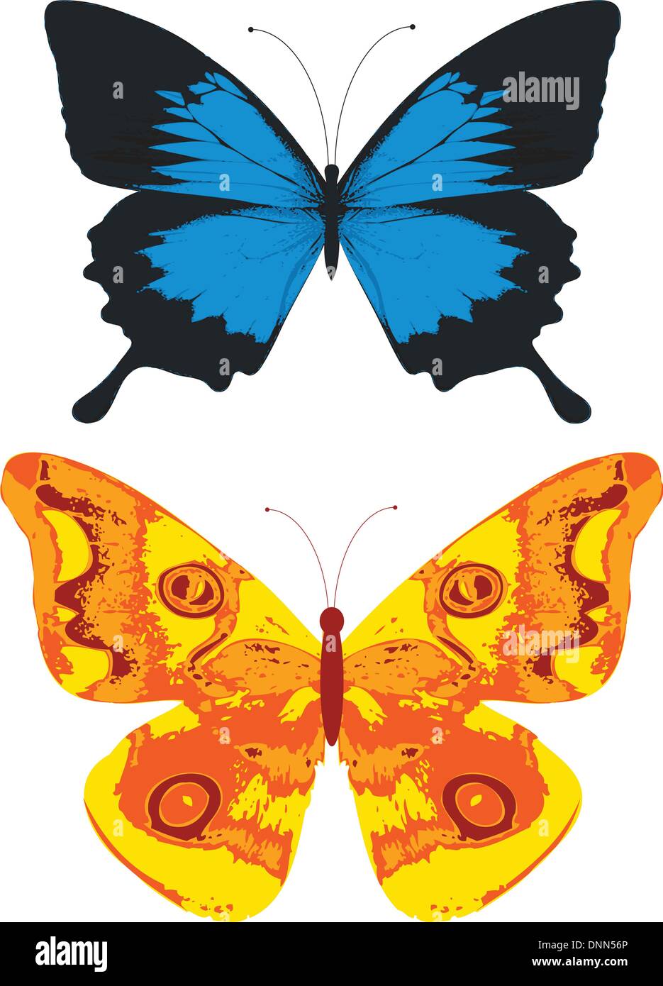 Two butterflies Stock Vector Images - Alamy