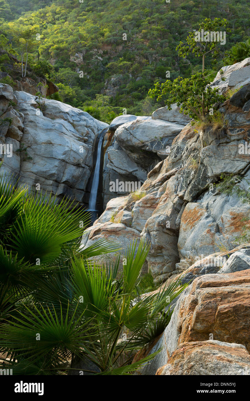 A waterfall and tropical pool near the town of Santiago, Baja, Mexico ...