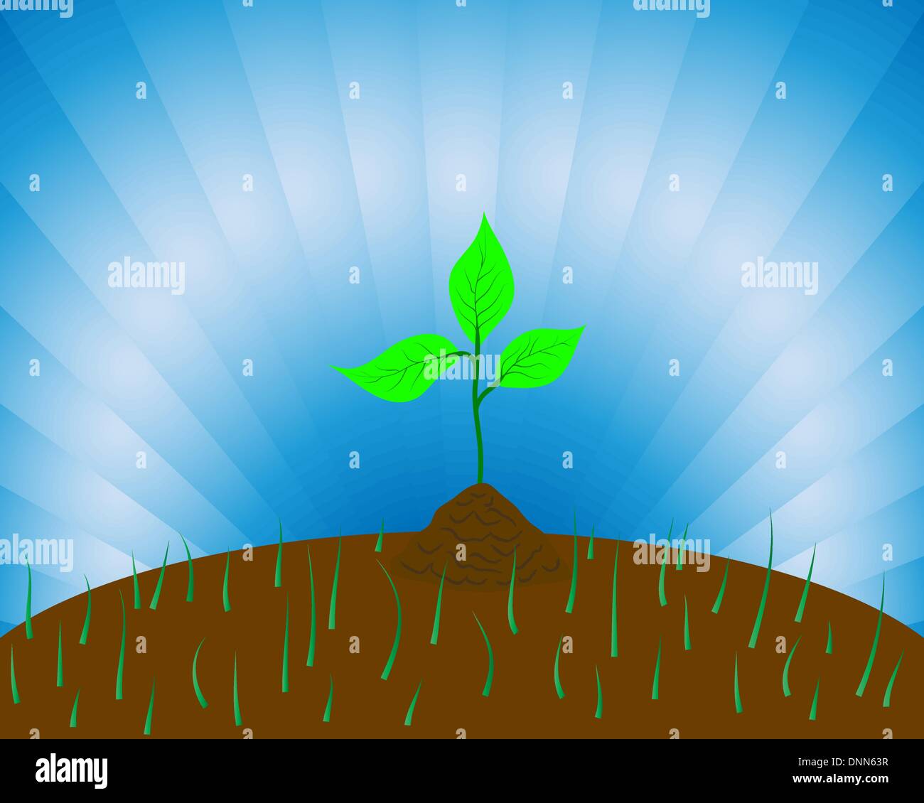 Abstract illustrations of sprout on the beams backgrounds Stock Vector ...