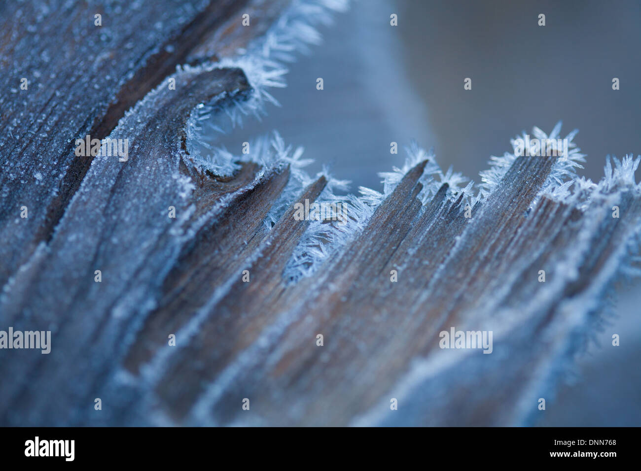 wood in hoarfrost winter background Stock Photo - Alamy