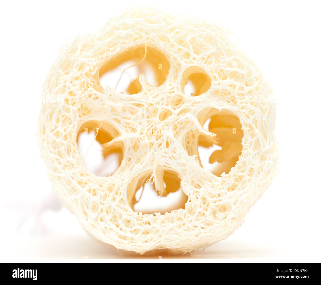 loofah on white Stock Photo - Alamy