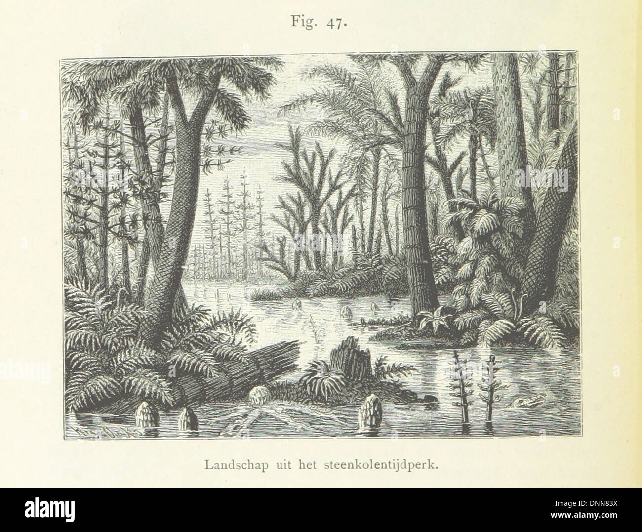 This image from 'Onze aarde' shows a detailed illustration of the ...