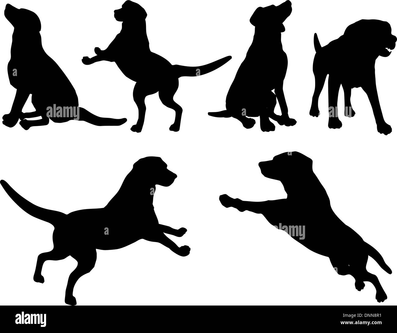 Dog dogs run Stock Vector Images - Alamy