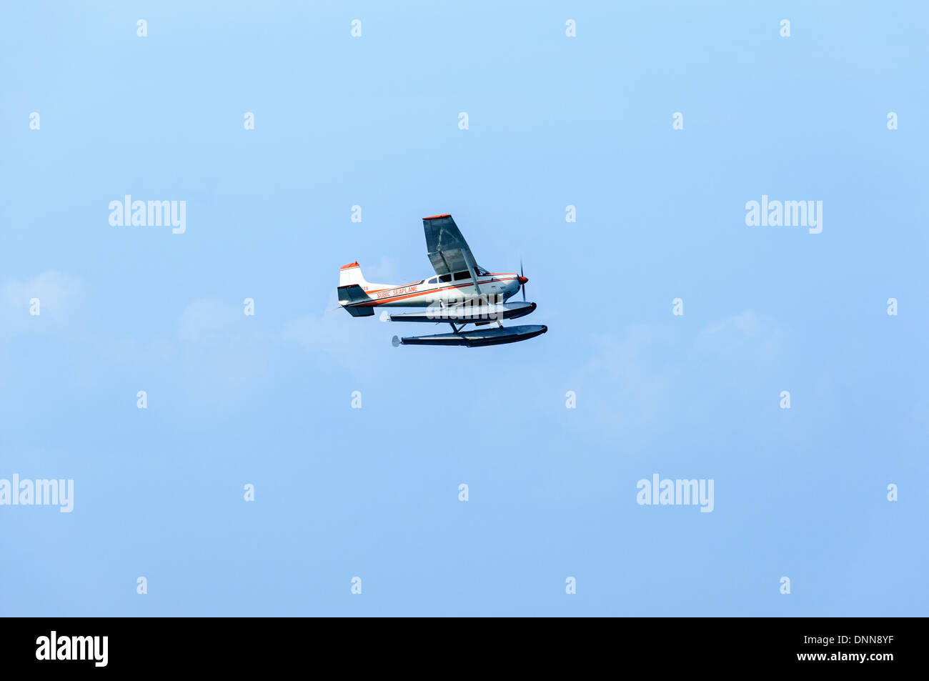 Airborne Cessna seaplane with floats under the fuselage flying in a ...