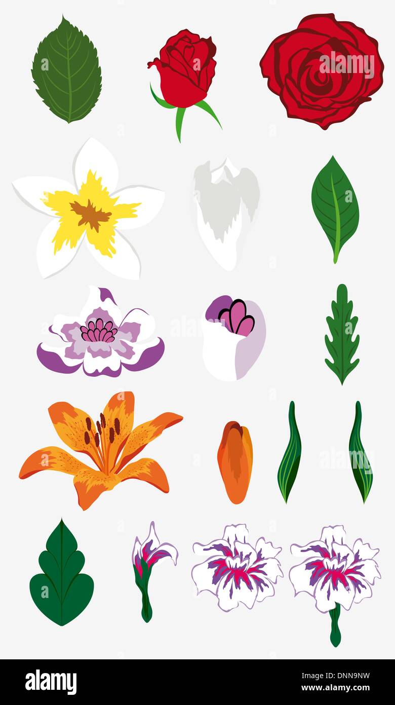 Set of different flower and leaves for self-supporting making floral ...