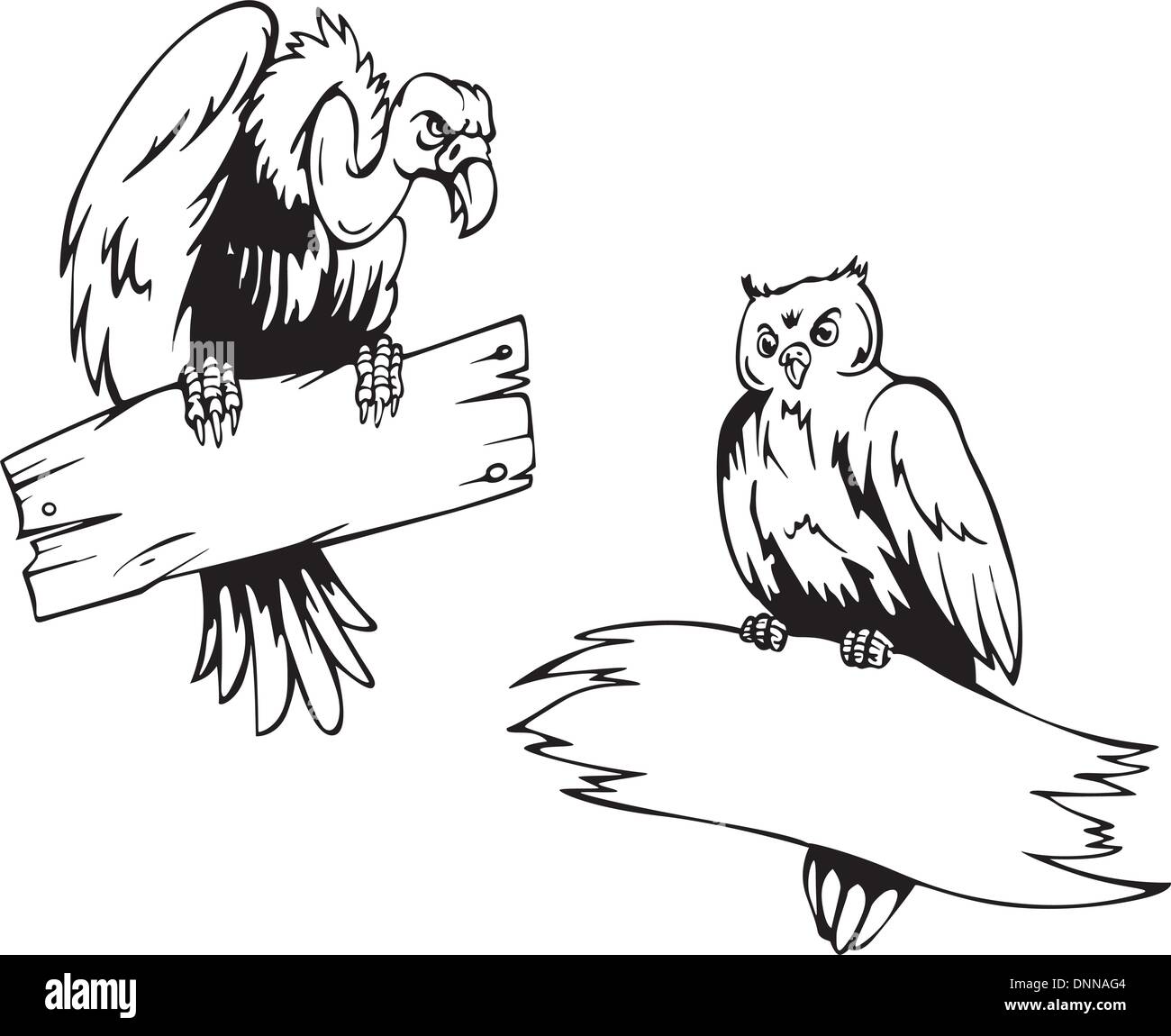 Vulture owl hi-res stock photography and images - Alamy