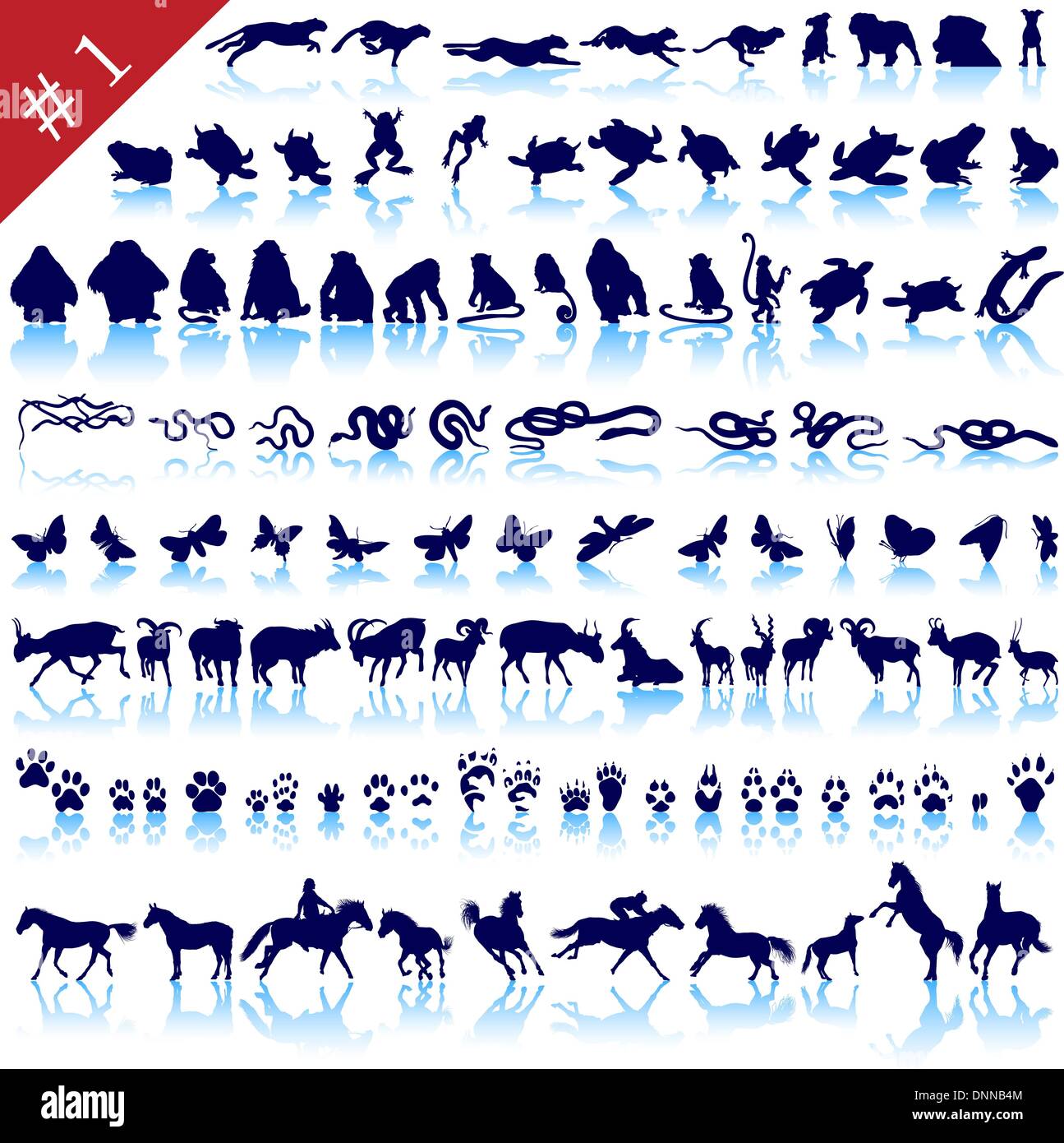 Set of different animals, birds, insects and fishes vector silhouettes ...
