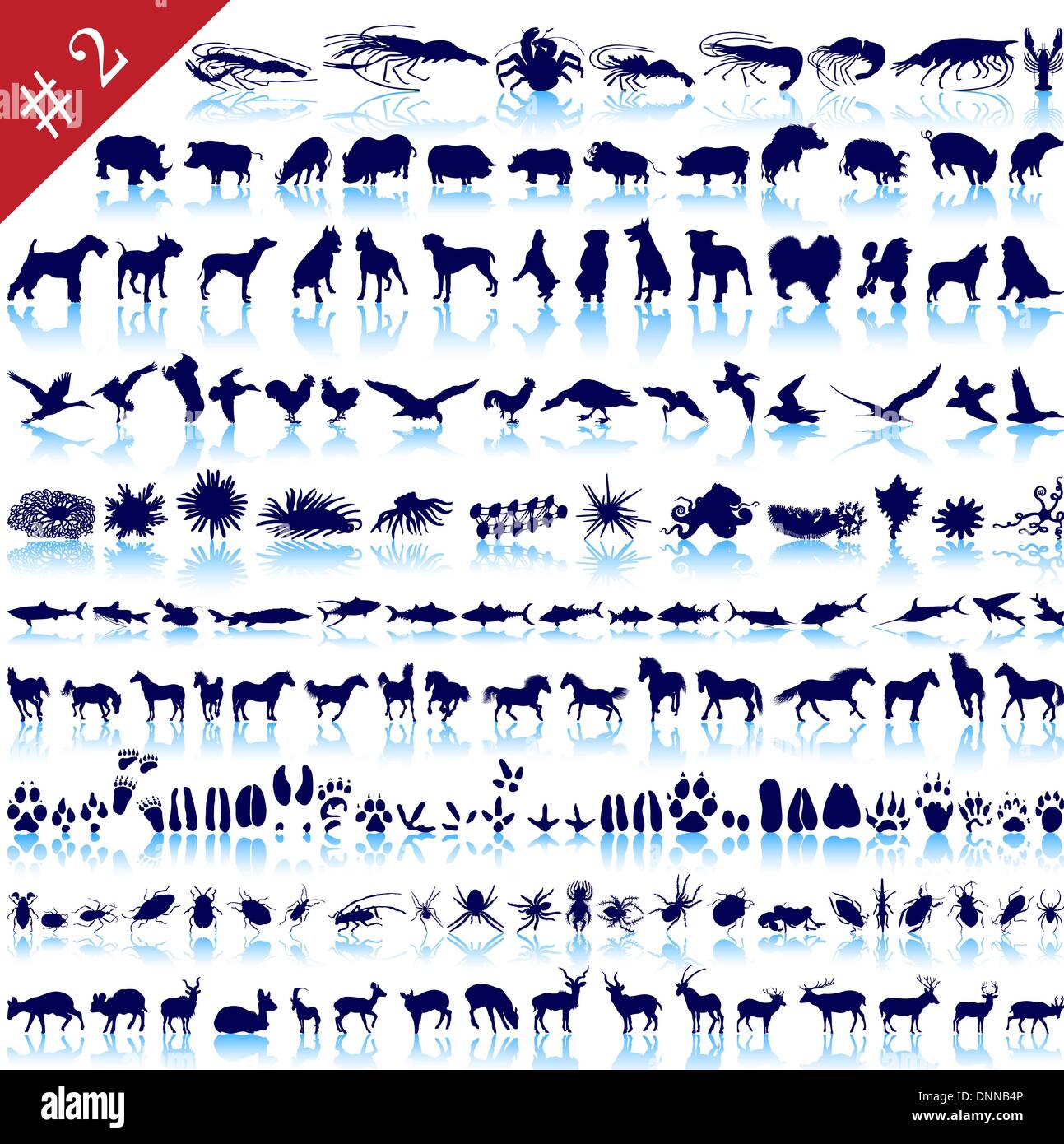 Set of different animals, birds, insects and fishes vector silhouettes ...