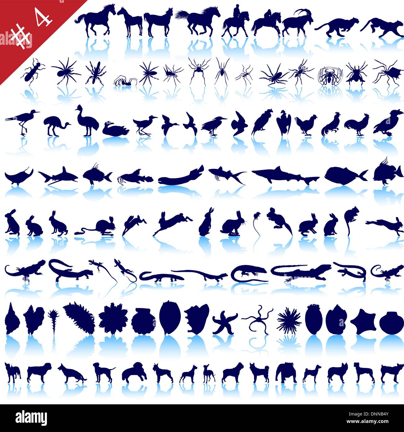 Set of different animals, birds, insects and fishes vector silhouettes ...
