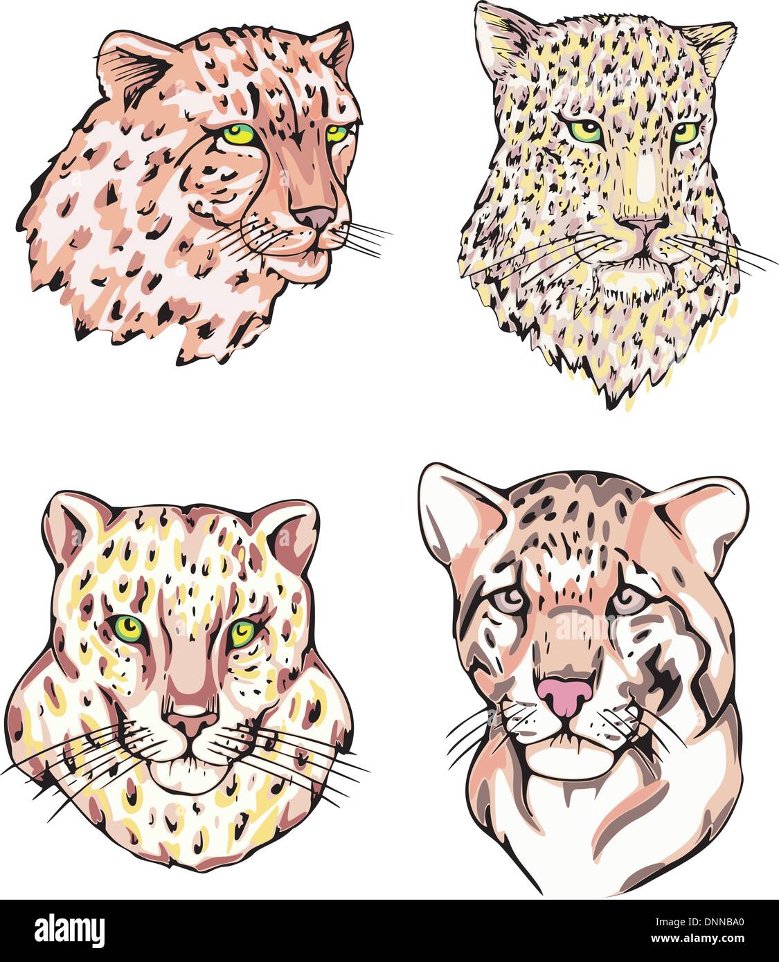 Set cheetah leopard jaguar Cut Out Stock Images & Pictures - Alamy