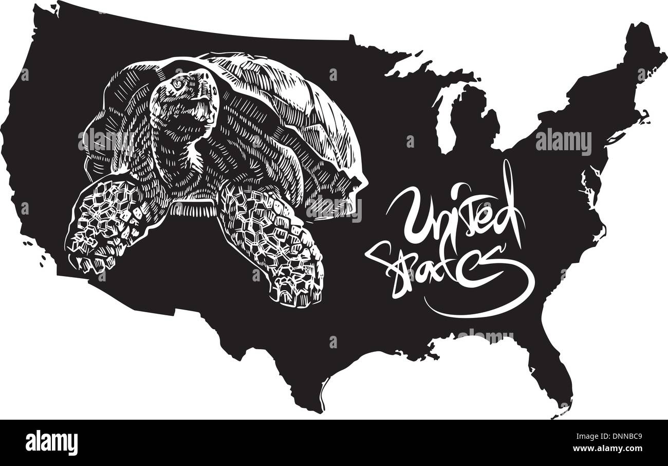 Turtle and U.S. outline map. Black and white vector illustration Stock ...