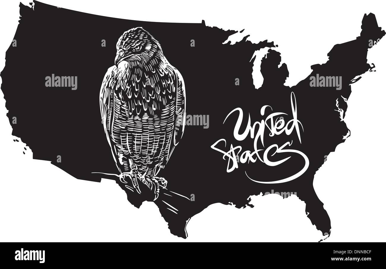 Hawk and U.S. outline map. Black and white vector illustration Stock ...