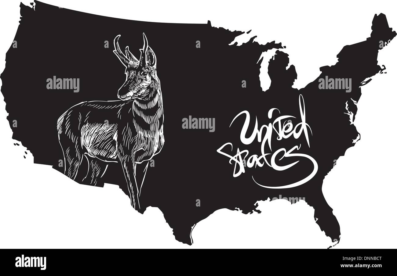 Pronghorn and U.S. outline map. Black and white vector illustration ...
