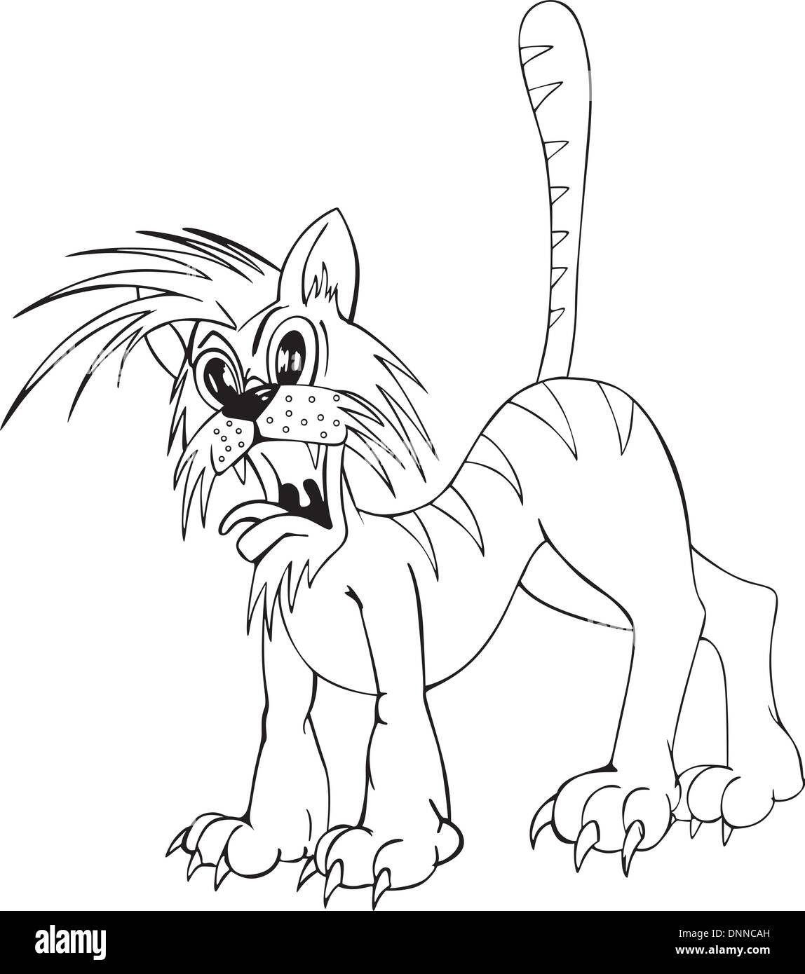 Ruffled cat hi-res stock photography and images - Alamy