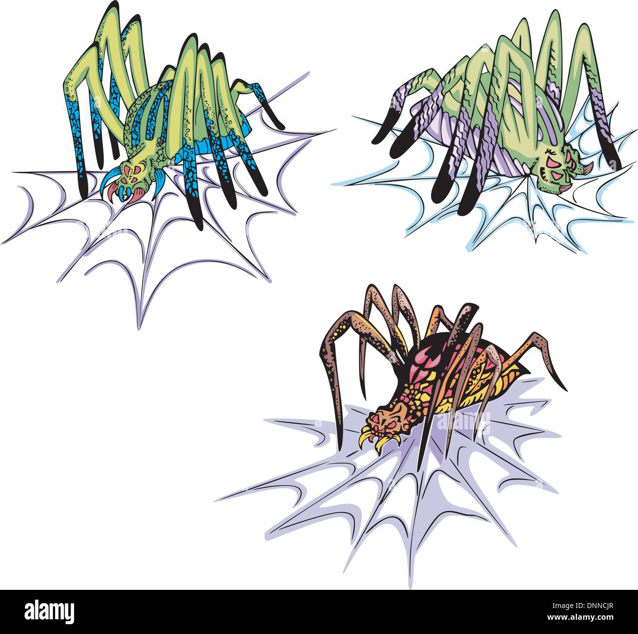 Spiders Illustrations High Resolution Stock Photography and Images - Alamy