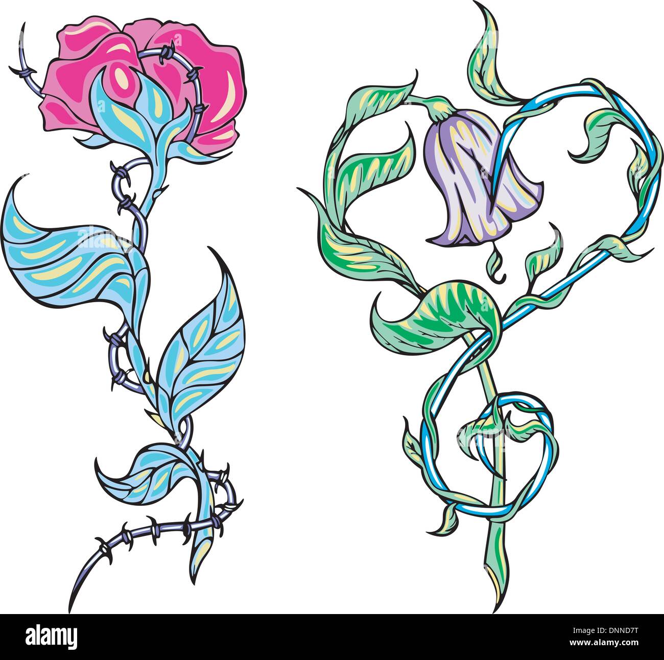 Two flowers. Color vector ilustration Stock Vector Image & Art - Alamy