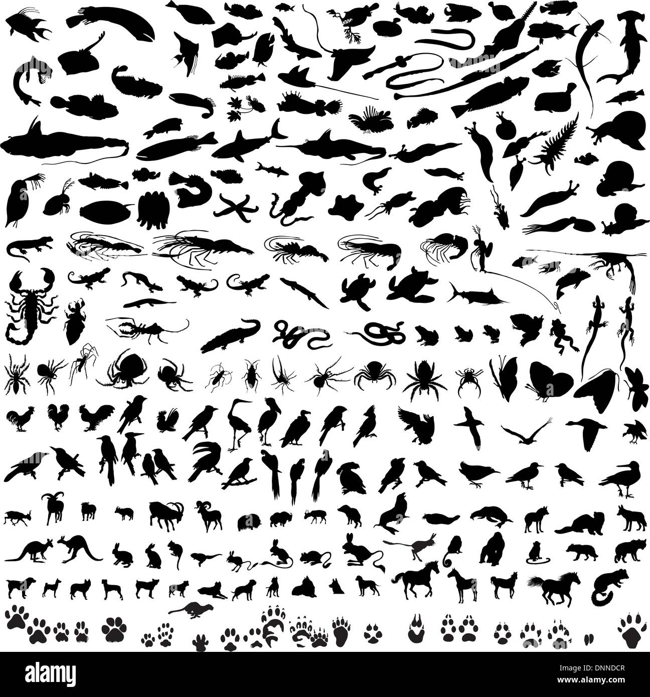 # 1 set of different animals, birds, insects and fishes vector ...