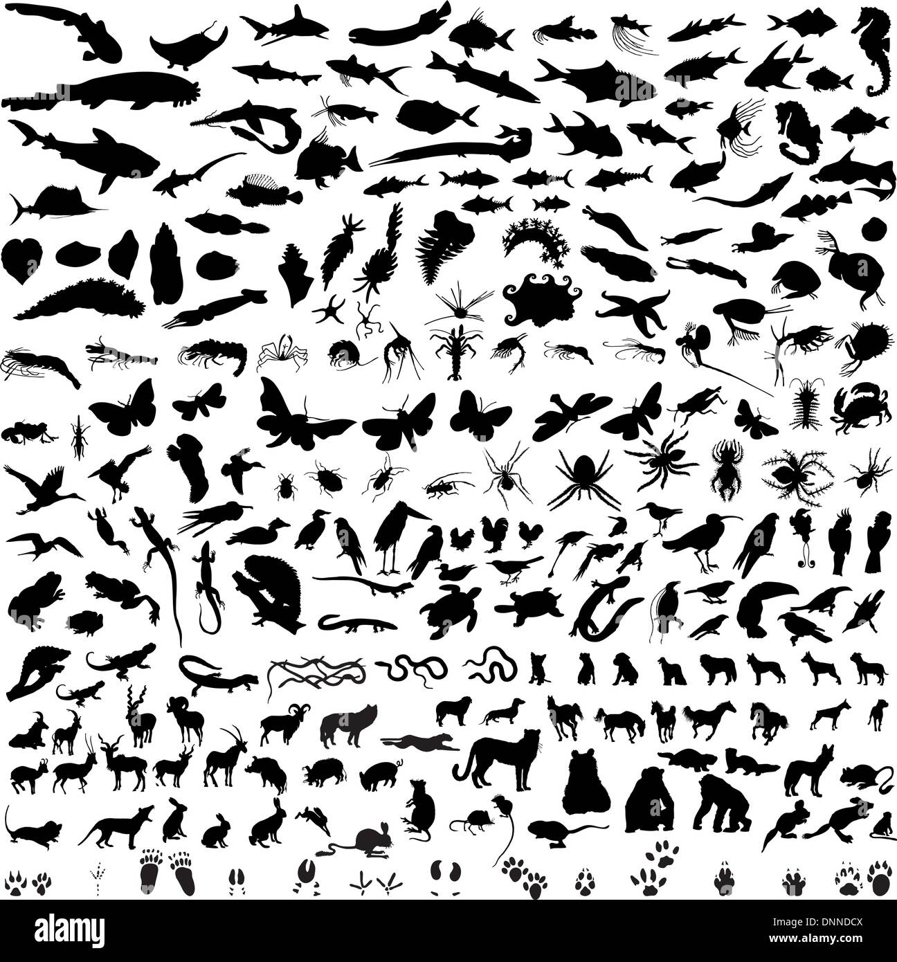 # 2 set of different animals, birds, insects and fishes vector ...