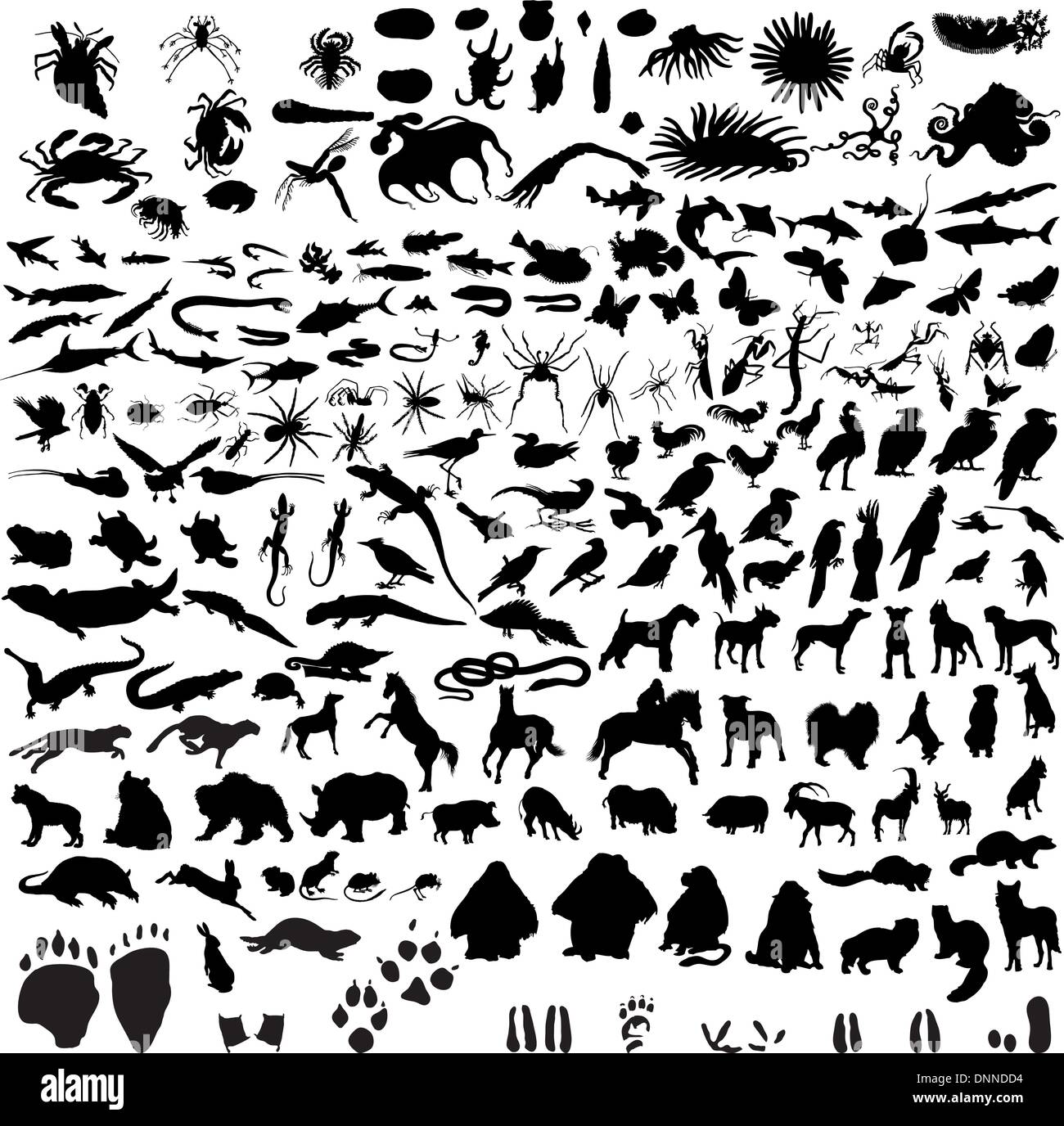 # 3 set of different animals, birds, insects and fishes vector ...