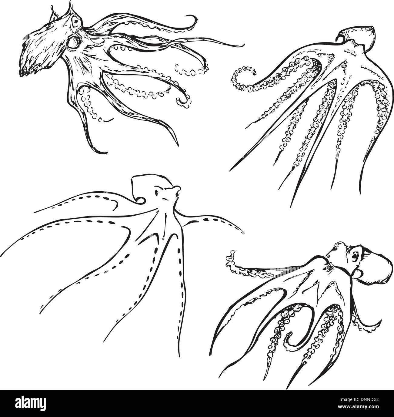 Octopuses ocean Stock Vector Images - Alamy