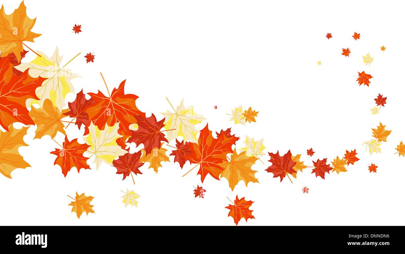 Autumn maples falling leaves background. Vector illustration Stock ...