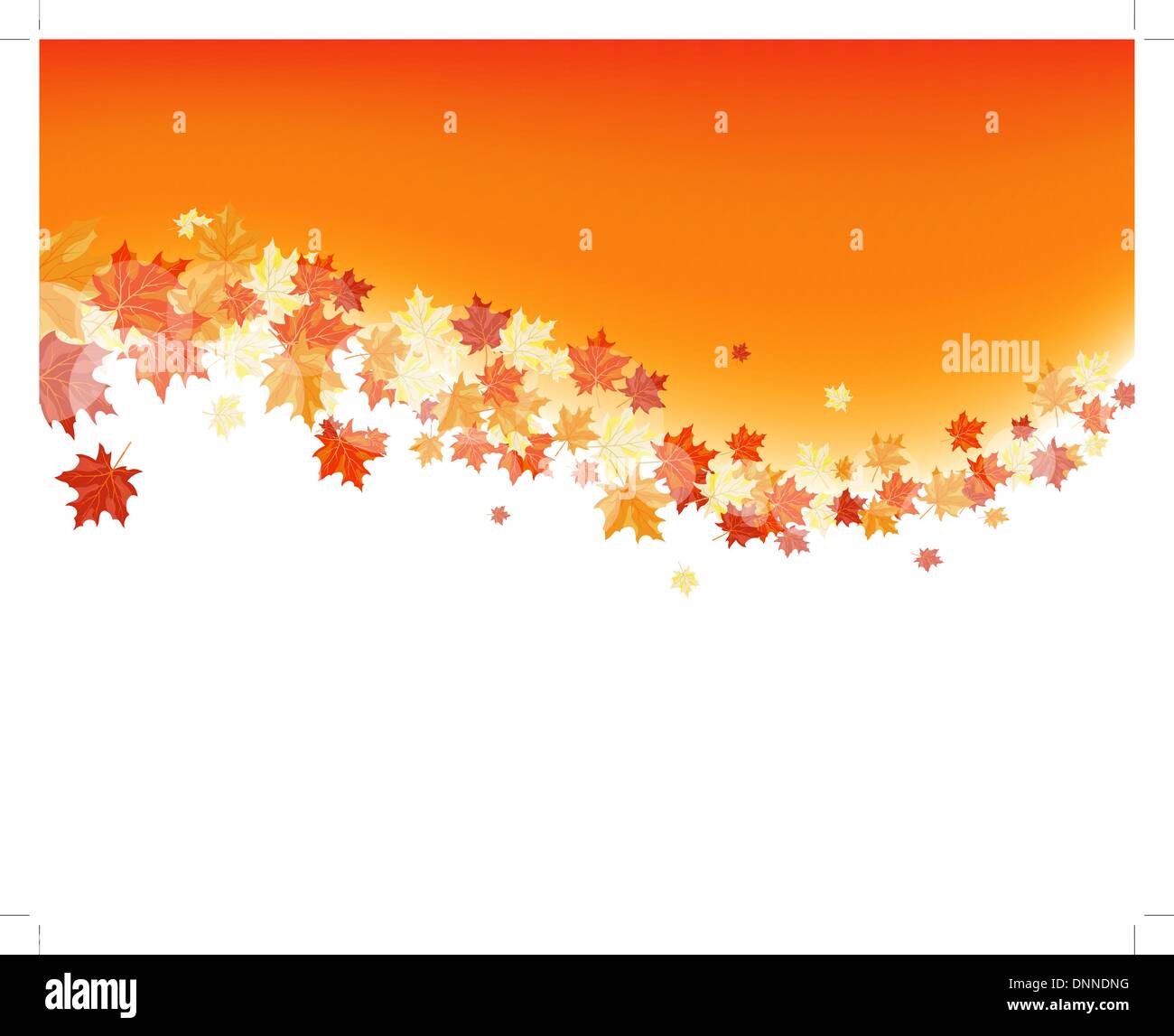 Autumn maples falling leaves background. Vector illustration Stock ...