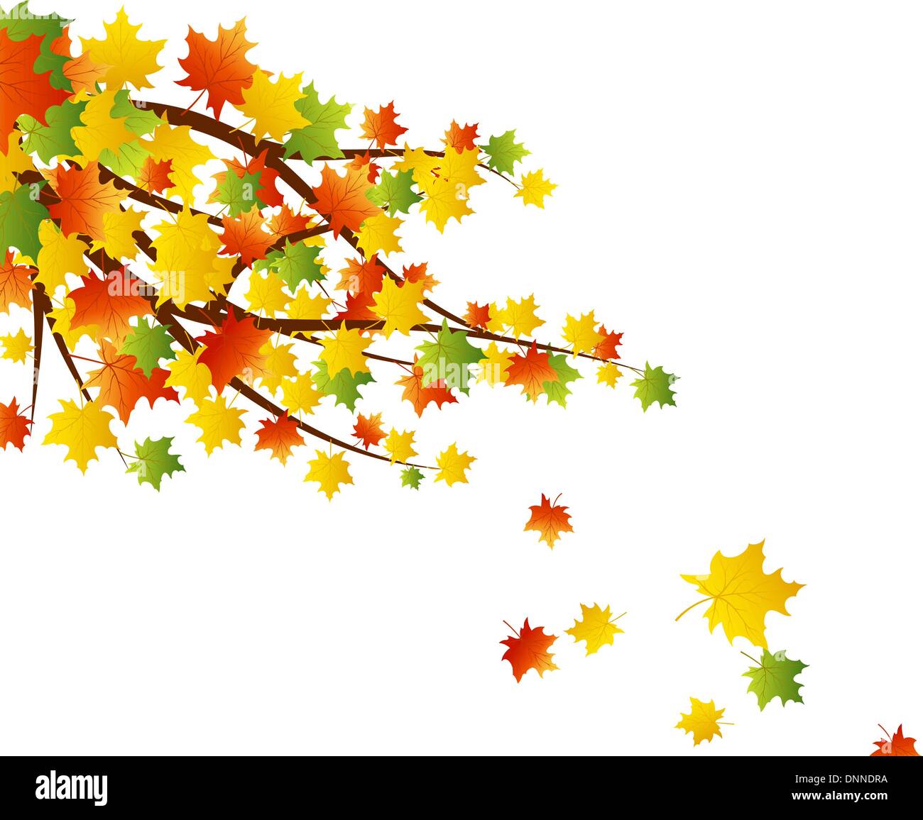 Autumn maples falling leaves background. Vector illustration Stock ...