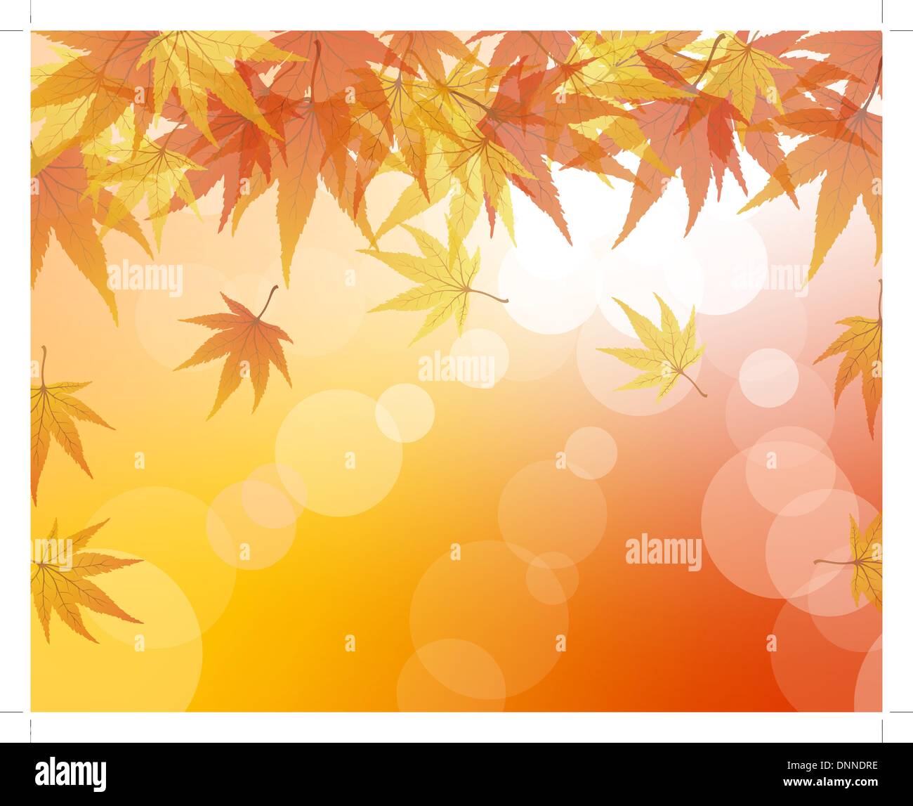 Autumn maples falling leaves background. Vector illustration Stock ...