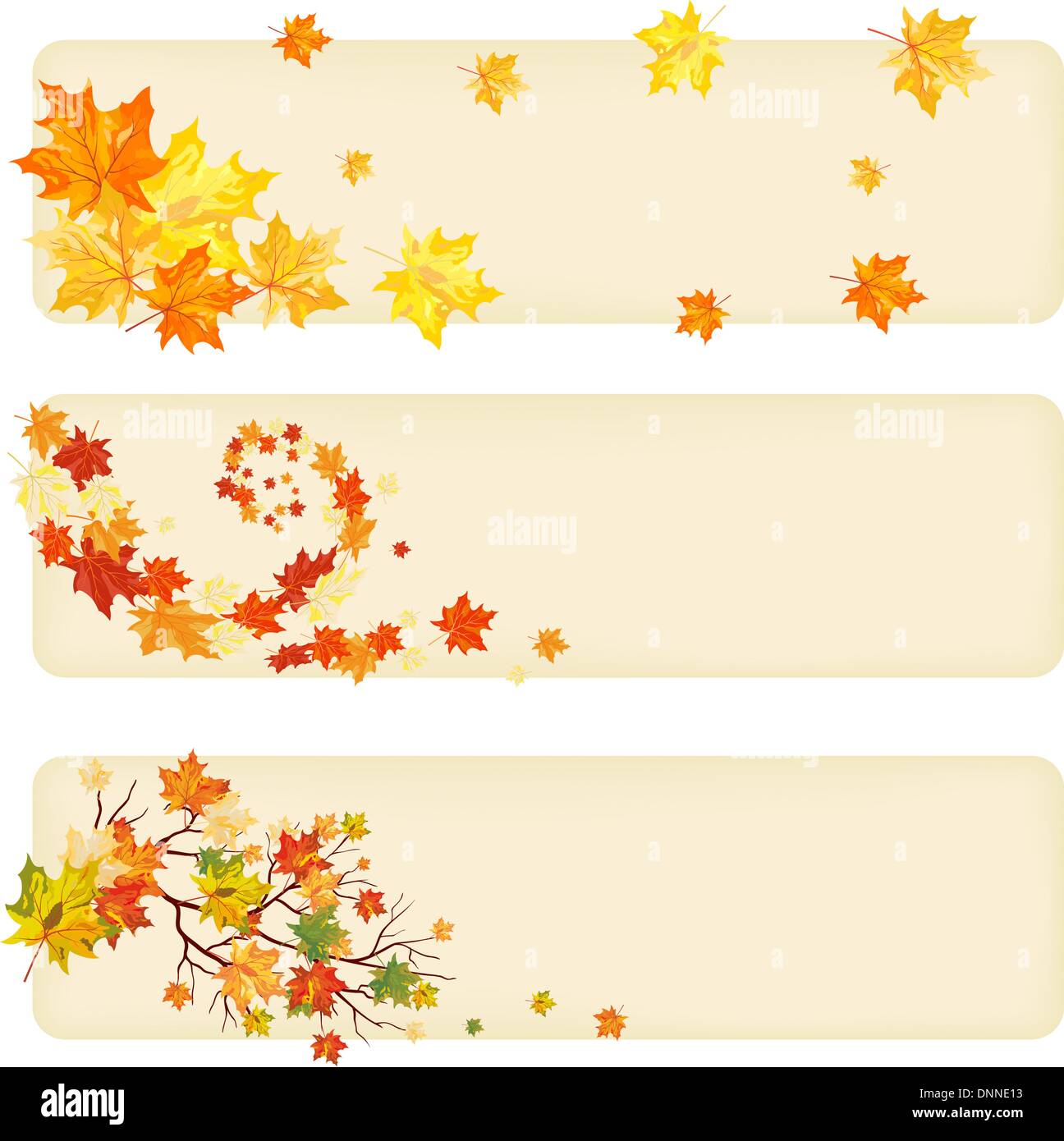 Autumn maple tree leaves on paper banner. Vector illustration Stock ...