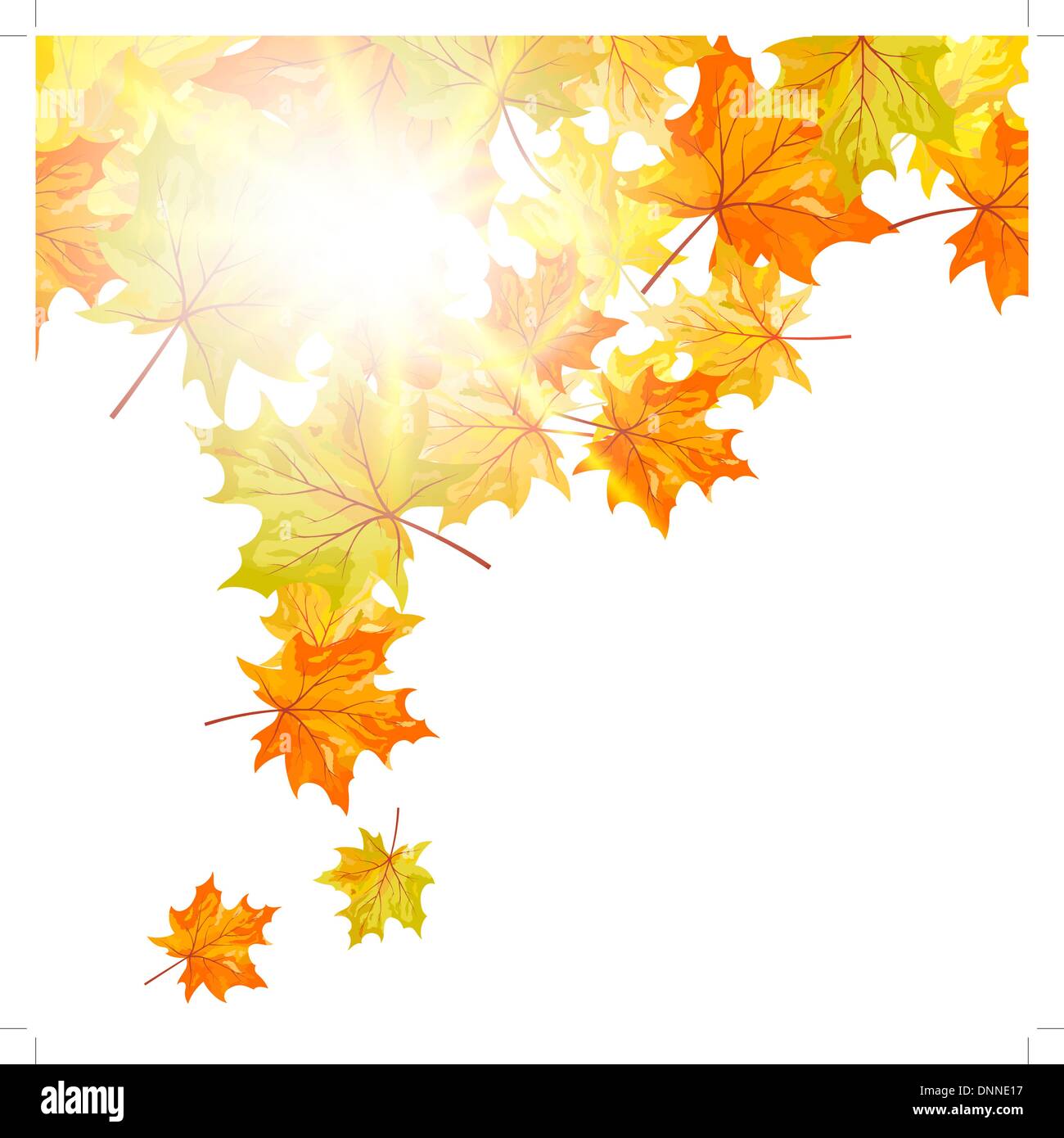 Autumn falling maple tree leaves. Vector illustration Stock Vector ...