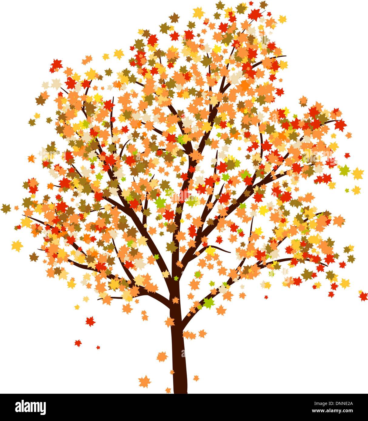 Autumn maples tree with falling leaves. Vector illustration Stock ...