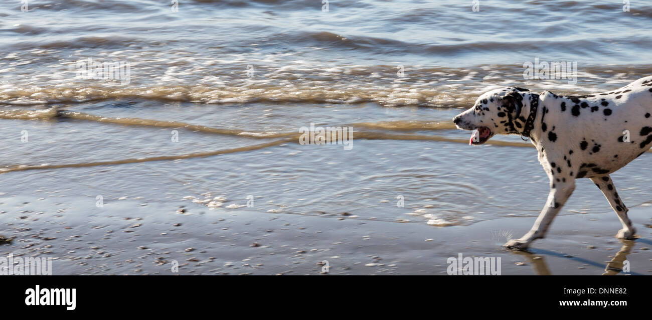 Meon Shore Beach High Resolution Stock Photography and Images - Alamy