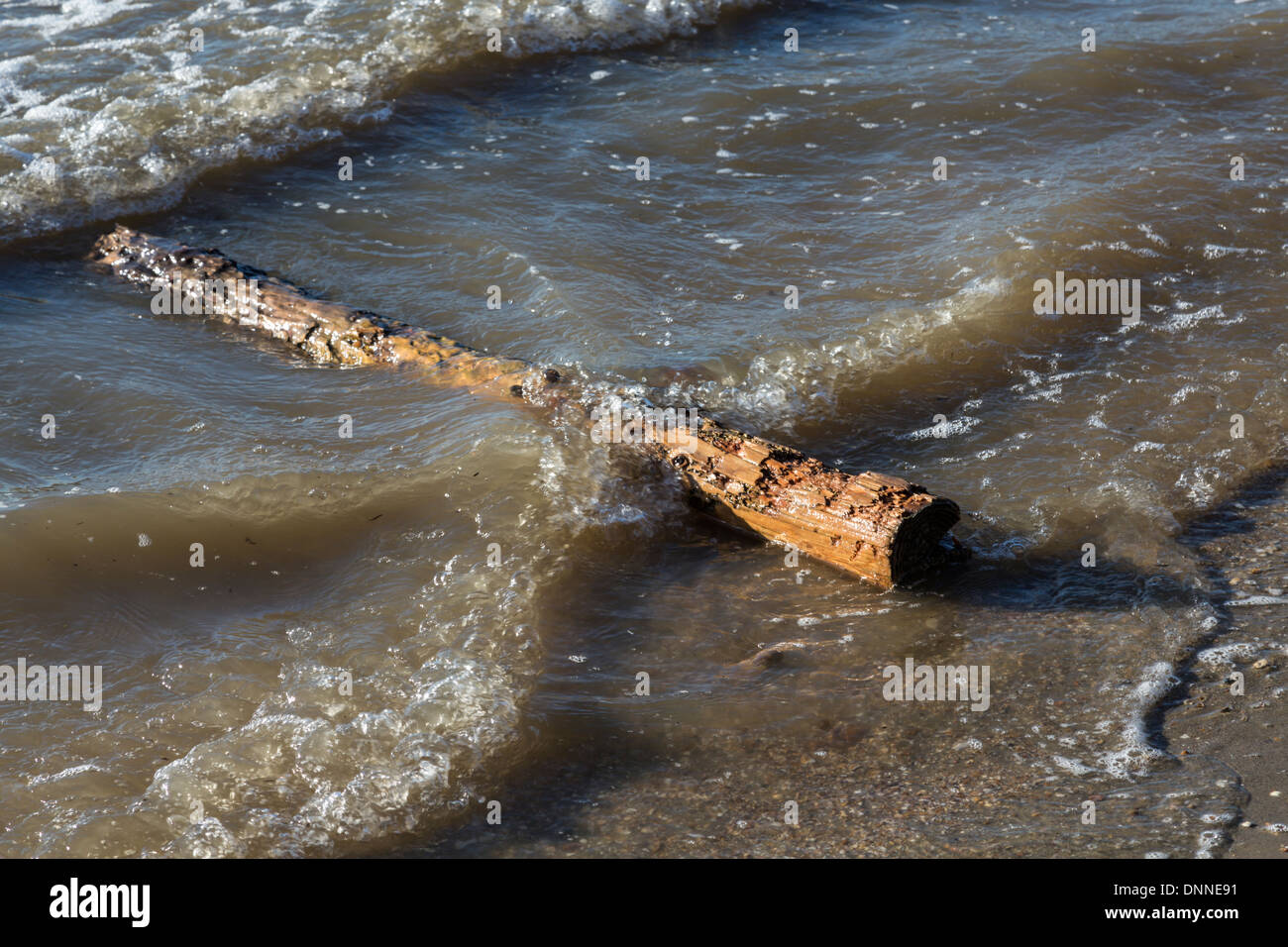 Driftwood and waves Stock Photo - Alamy