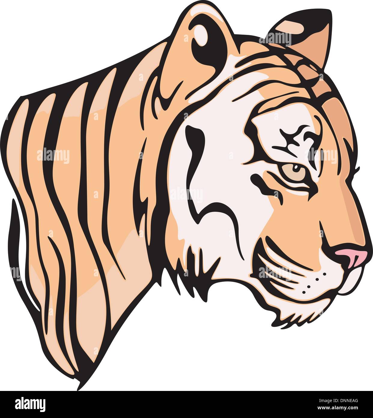 The illustration of nice little tiger cub. Vector EPS Illustration ...