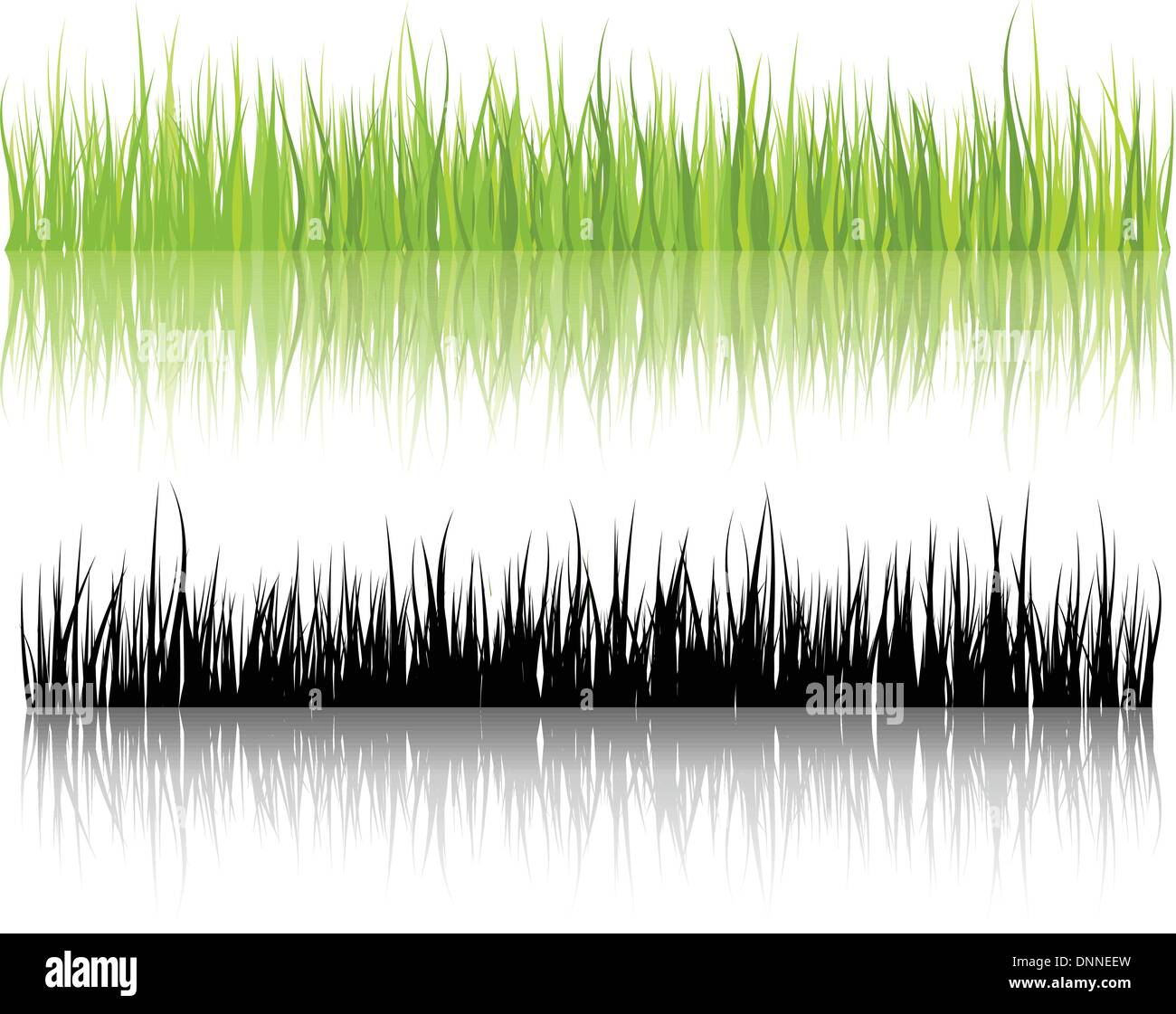 Grass illustrations with reflections Stock Vector Image & Art - Alamy