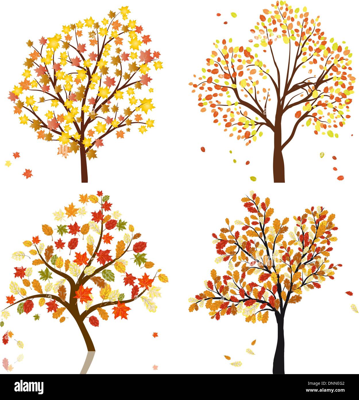 Set of four autumn tree. Vector illustration Stock Vector Image & Art ...