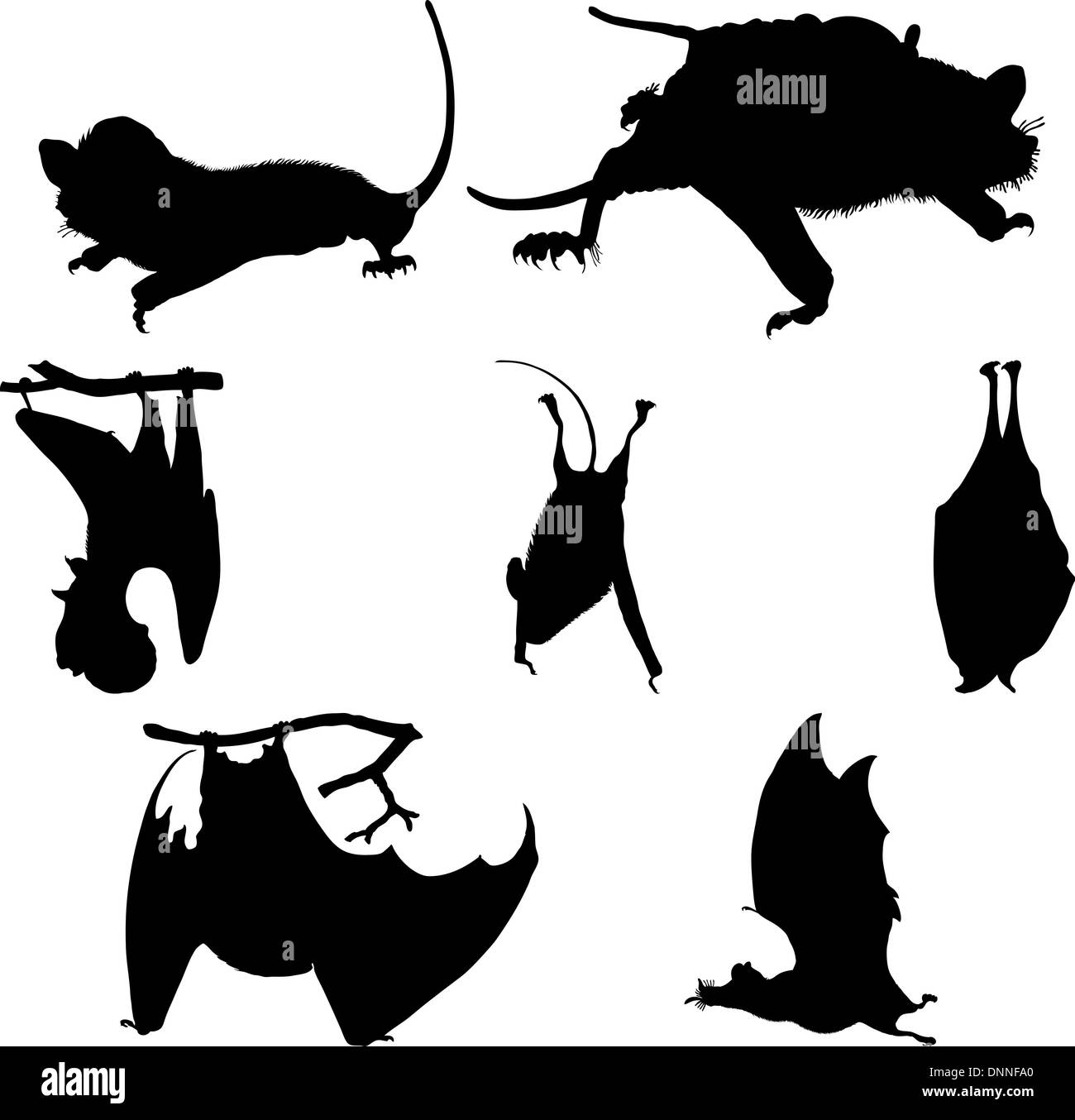 Collection of bats silhouettes. Vector illustration Stock Vector Image ...